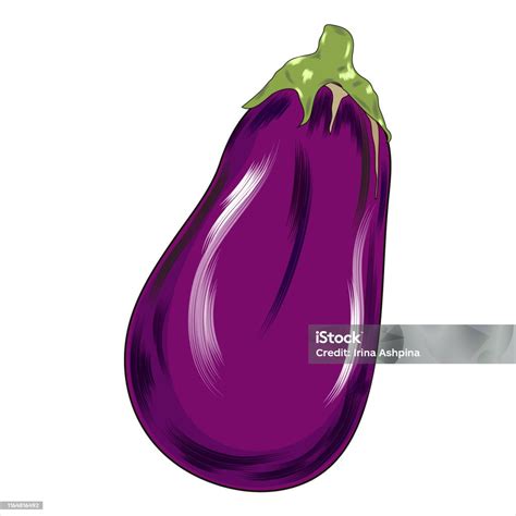 가지 야채 평면 아이콘 벡터 기호 흰색에 고립 된 하나의 가지 다채로운 그림 기호 로고 일러스트레이션 플랫 스타일 디자인 가지 채소에 대한 스톡 벡터 아트 및 기타 이미지