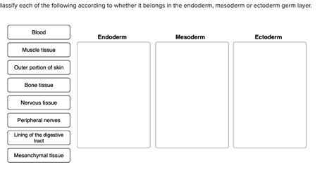 Solved Answer The Following True False Tissue Questions