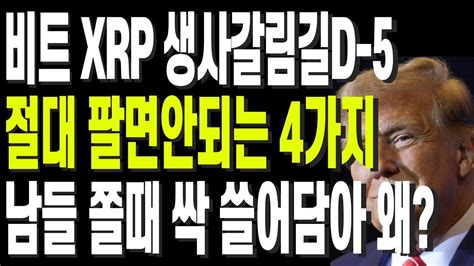 비트코인 리플 도지코인 이더리움 비트 Xrp 생사갈림길d 5 절대 팔면안되는 4가지 남들 쫄때 싹 쓸어담아 왜 Youtube