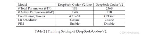 【deepseek论文精读】11 deepseek coder v2 突破闭源模型在代码智能领域的障碍 csdn博客