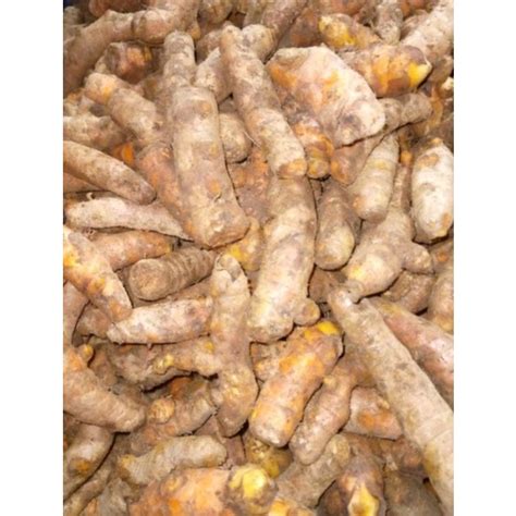 Jual KUNYIT SEGAR KG Shopee Indonesia