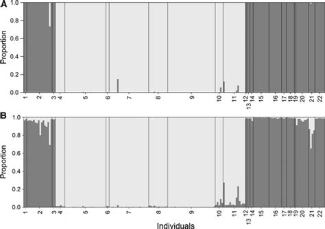 structure bar plot of individual assignments by sampling site canberra