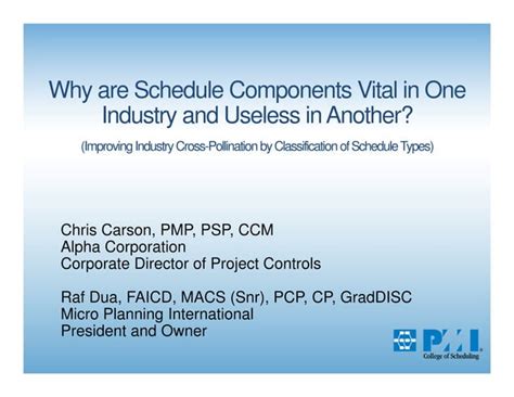 Presentation Classification Of Schedule Types Ppt