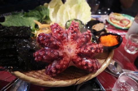 광주 운암동 맛집 착한가리비 문어 맛집 인정ㅇㅇ ㅇㅈ 네이버 블로그