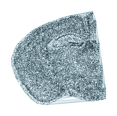 Demo 4 STARmap To MERFISH CAST Latest Documentation