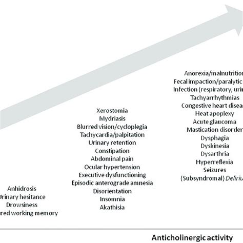Common Anticholinergic Adverse Effects Related To A Growing Download Scientific Diagram