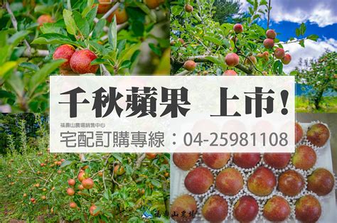 千秋蘋果上市囉！ 福壽山農場fushoushanfarm