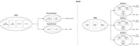 Illustration Of The Proposed Biodg Benchmark For Ecg And Eeg
