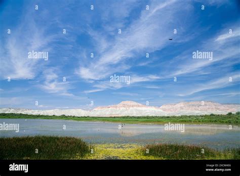 Migratory Birds In Geologically Formed Mountains And National Parks
