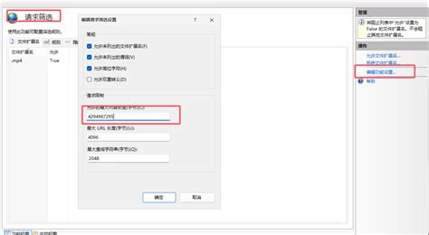net core IIS Kestrel 大文件上传大小设置 CSDN博客