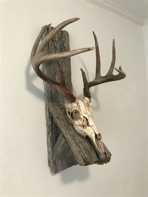 Mounted Deer Head Plaque