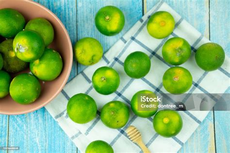 Jeruk Nipis Hijau Segar Jeruk Nipis Adalah Sejenis Buah Hasilnya Sangat