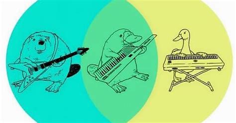 Best Venn Diagrams Album On Imgur