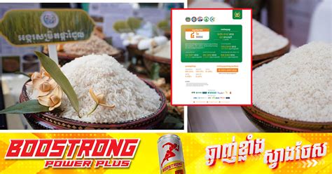 រយៈពេល ៤ខែនៃឆ្នាំ២០២៥ នេះ កម្ពុជារកចំណូលបានជិត ២១០លានដុល្លារពីការនាំចេញអង្ករចំនួន ២៨២ ៣១៣តោន