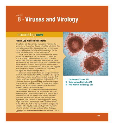 Chapter 8 Viruses And Virology Origins Structure And Life Cycle
