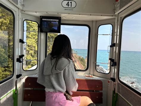 부산 해운대 블루라인파크 스카이캡슐 미포 청사포 예약 주차 탑승 후기 네이버 블로그