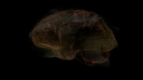 Episode 1 How The Brain Creates Reality The Brain With David Eagleman Nj Pbs