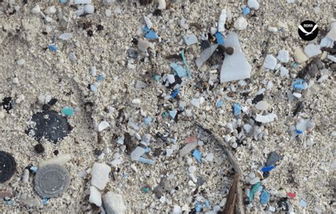 Microplastics Cleanup And Sampling Volunteers Needed Re Sources