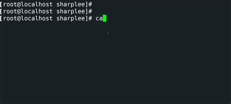 Linux中如何添加内容到文件末尾