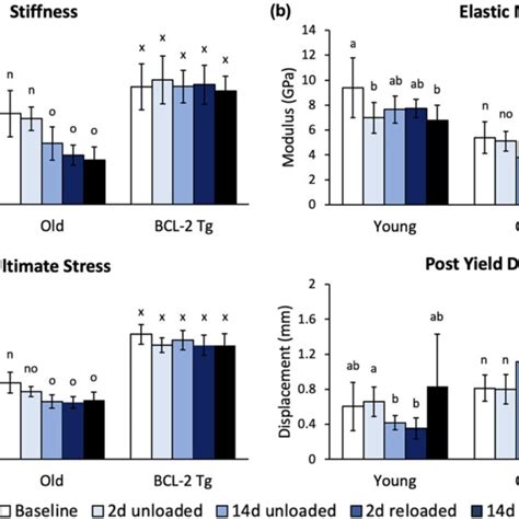 Structural And Material Properties Of Femoral Cortical Bone Determined