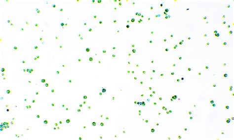 Photo Bionuclear Reactor Nato Sps Programme Funded Project Focused On