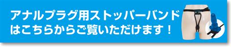 アナルプラグ ｜ アナルグッズ｜ アダルトグッズ通販 ｜ 信長トイズ