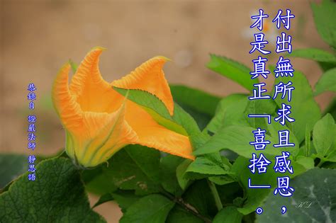 靜思語 付出無所求且感恩， 才是真正「喜捨」。 恭錄自 證嚴法師 靜思語
