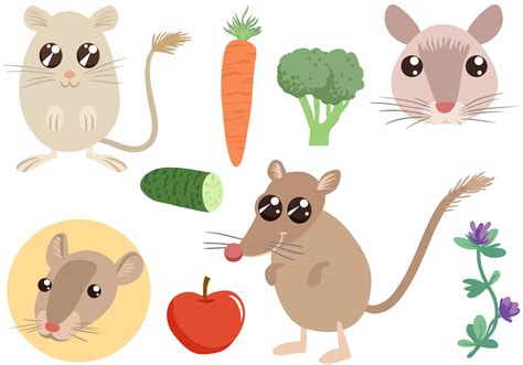 Free Gerbil Vectors 151408 Vector Art At Vecteezy