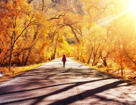 Barbara Arrowsmith Young Sheher On Linkedin 8 Ways Walking Improves