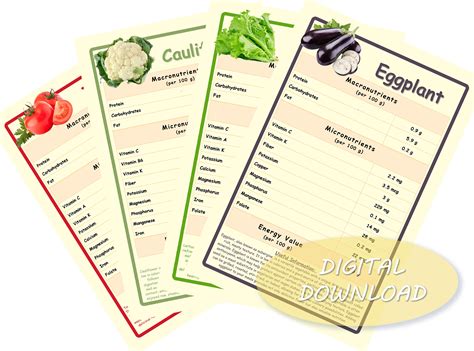 The Nutrient Guide A Handbook For Healthy Eating Part2 Vegetables Etsy