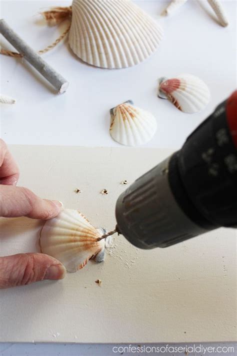 How To Drill A Hole In A Seashell Artofit