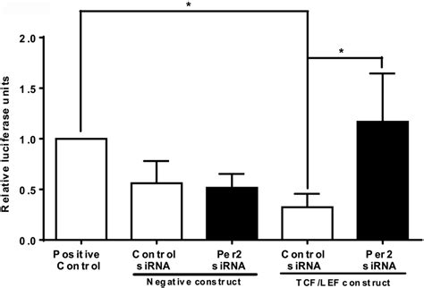 Catenin Binds To Tcflef Factors After Treatment With Sirna Per2 The