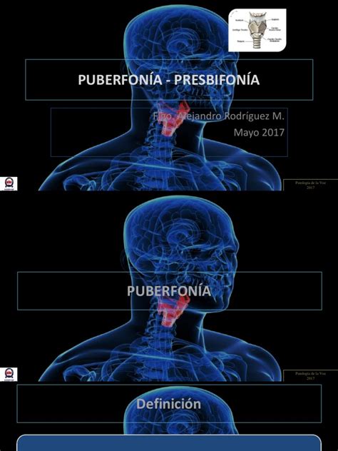 Puberfonía Presbifonía Pdf Vejez Atrofia
