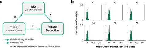 Mediodorsal Thalamic Phase Bifurcation Mediates Prefrontal Download Scientific Diagram