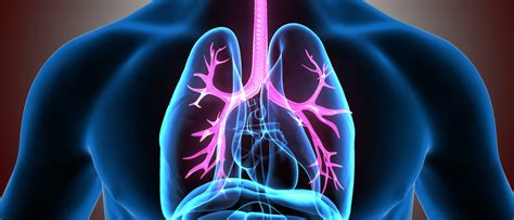 Hu Researchers Help Advance Ai Powered Lung Cancer Detection Through
