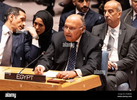 Sameh Hassan Shoukry Selim Minister For Foreign Affairs Of Egypt Speaks During SC Meeting On