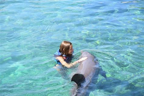Delphinus Riviera Maya Playa Del Carmen 2019 All You Need To Know