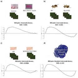 Gene Set Enrichment Analysis Gene Set Enrichment Analysis Of Models