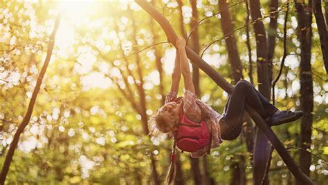 How A Tree S Breath Literally Cleans The Planet