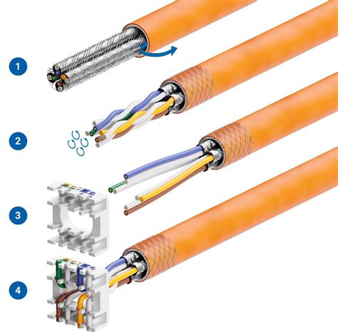 Deleycon 8 Port Patchpanel Set Patchfeld Kauflandde