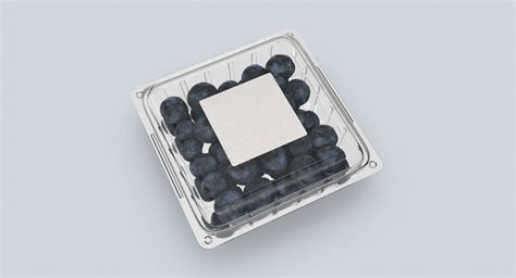 포장 된 블루 베리 3d 모델 139 Max Free3d