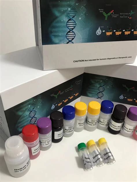 Glp Elisa T T