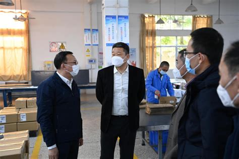 霞山区人民政府