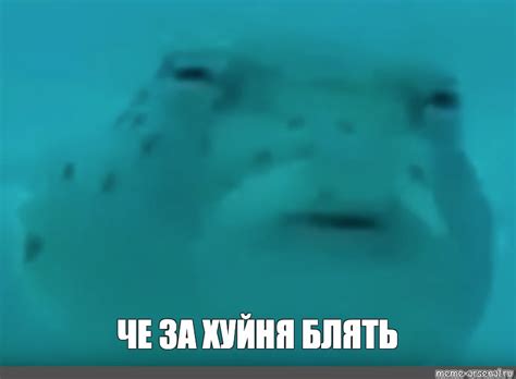 Мем ЧЕ ЗА ХУЙНЯ БЛЯТЬ Все шаблоны Meme