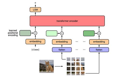 在 Pytorch 中实现 Vision Transformer 分类器pytorch Vision Transformer Csdn博客