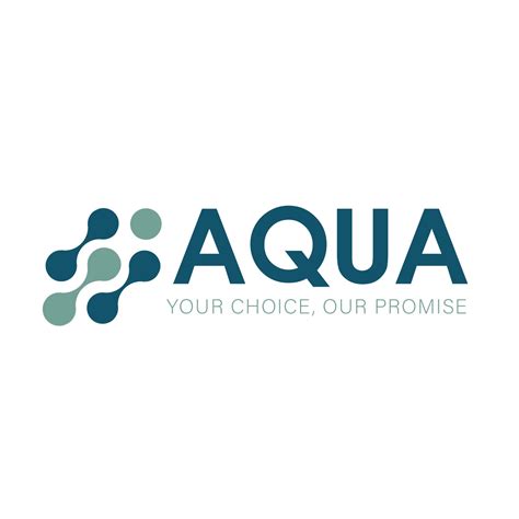Aqua Software Egypt Cairo