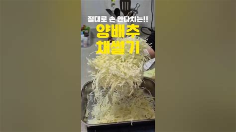 절대로 손 안다치는 양배추 채 써는 방법‼️ 양배추 건강식단 양배추샐러드 Youtube