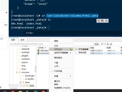 使用Docker 数据卷挂载案例 Karlshell 博客园