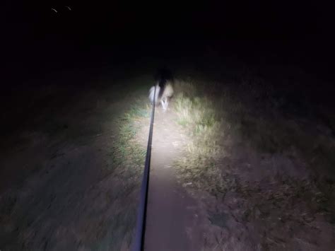 The Broken Cockroach The Miserable Gardener