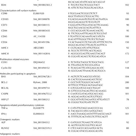 Primers Used For Gene Expression By Real Time Quantitative Polymerase